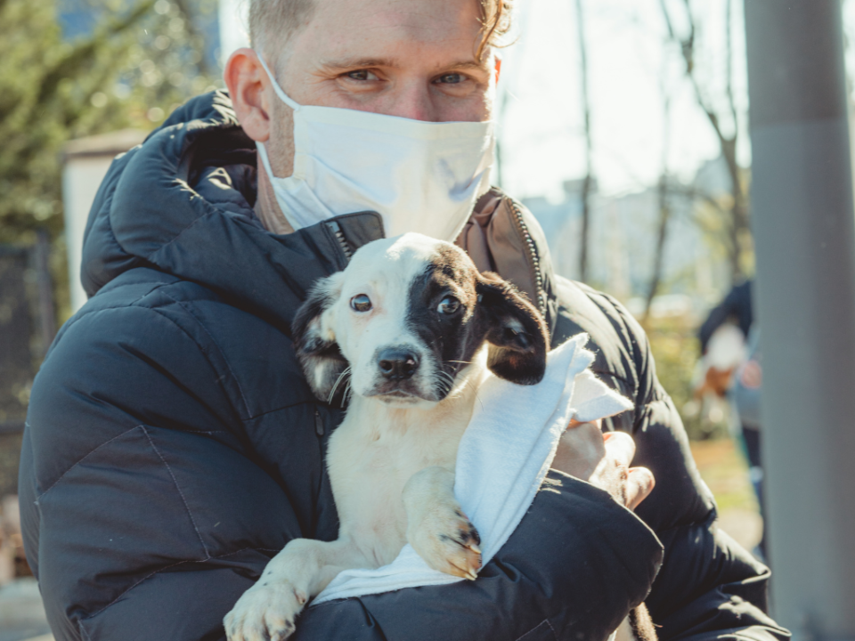 Our Adoption Process