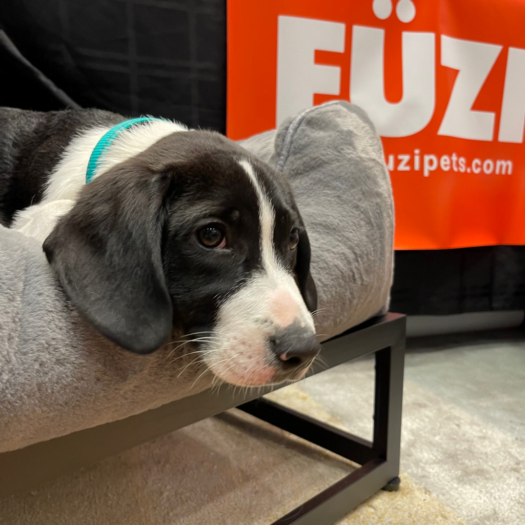 Our Partners - Rescue City