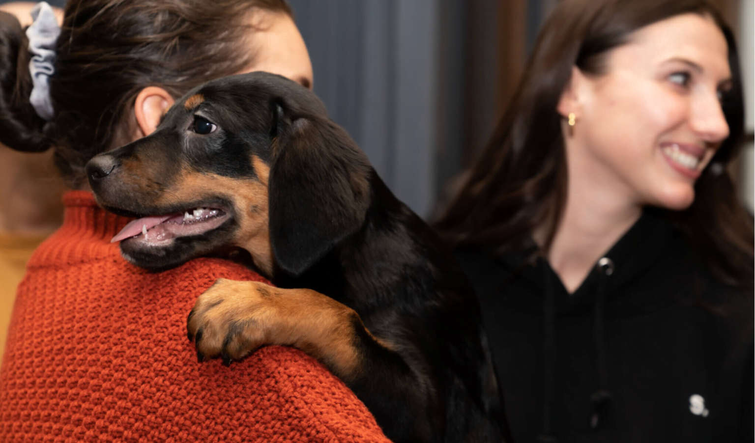 Brooklyn-based org Rescue City to celebrate National Mutt day with July ...